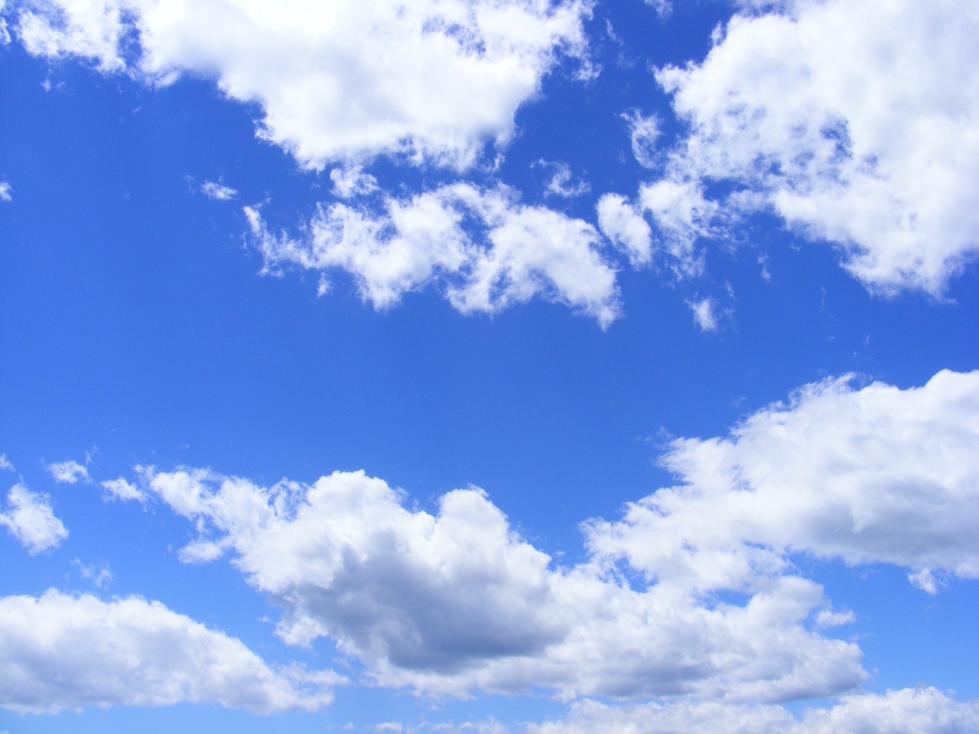 Project management in 2025: Trends and emerging tools